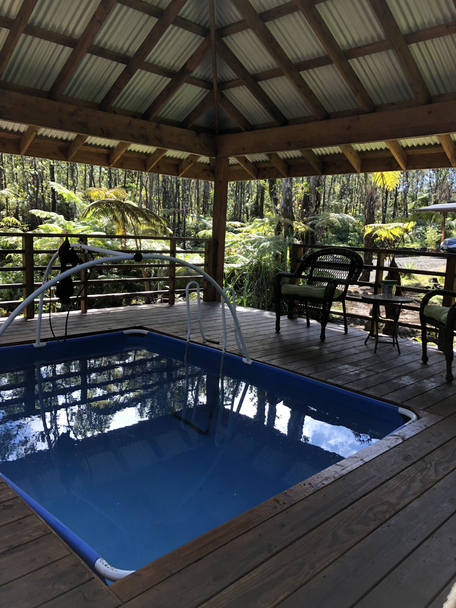 Endless Pool Cost in 2024: Buyer’s Guide & Affordable Options